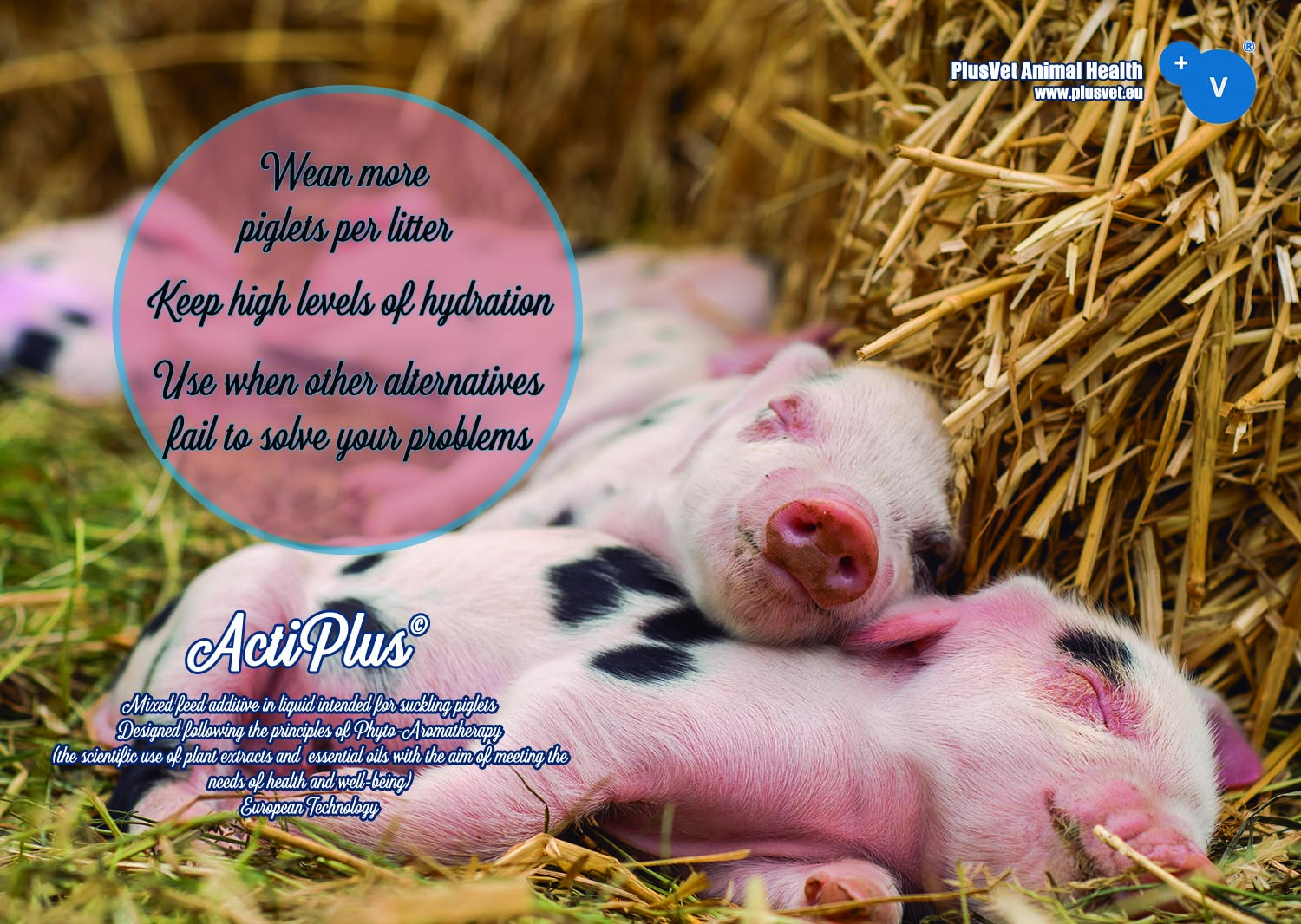 ActiPlus - Animal Gut Health - Essential Oils by Plusvet ...