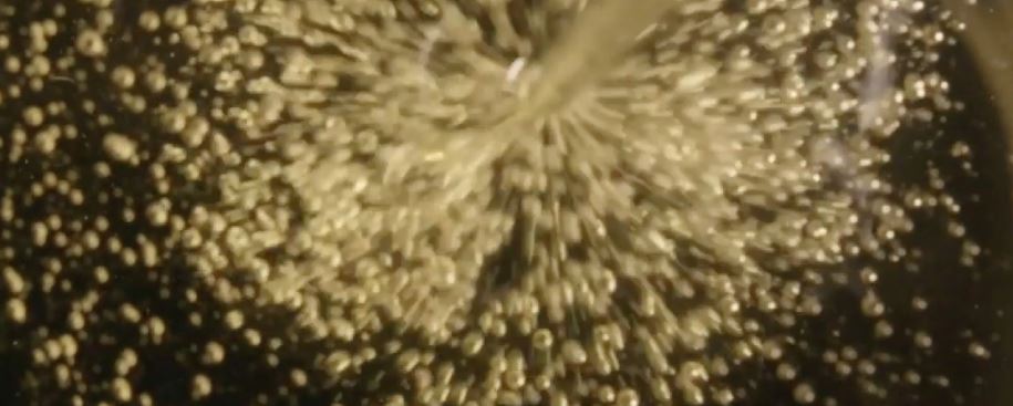 Checkerspot - Materials - Biomanufactured Algal Oil By ...