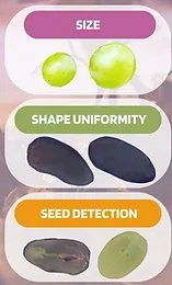 Vibe - Qm3i - Table Grape Analyzer By Vibe Imaging Analytics Ltd.