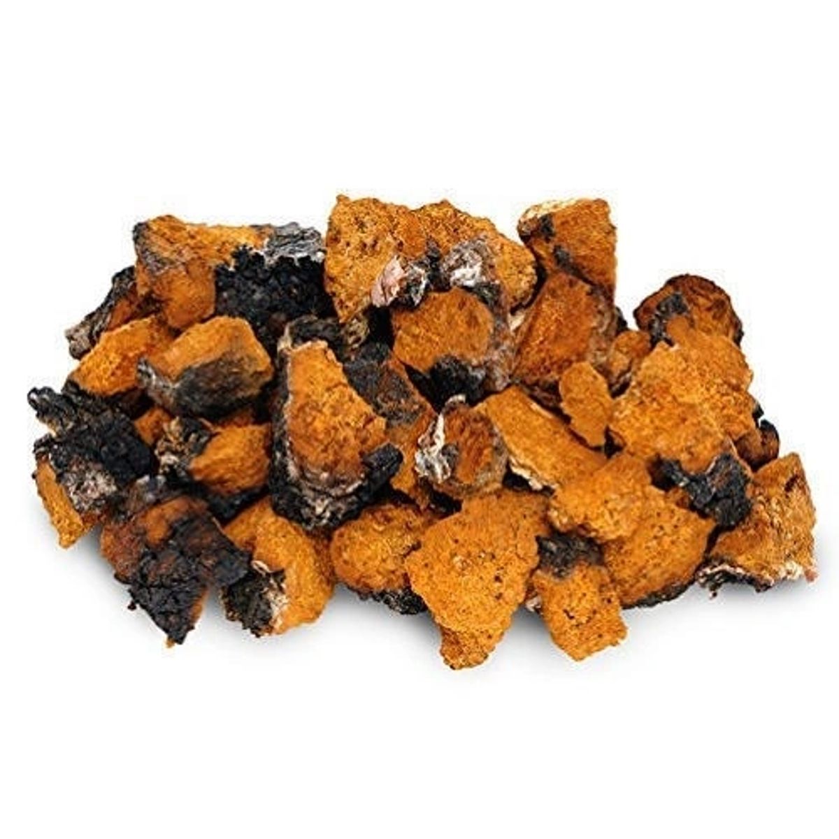 Dry Mushrooms - Dry Chaga Mushrooms by Biobritte Agro ...