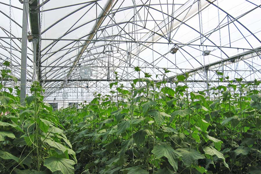 Plastified Mesh by Cotexa Alcalaina S.A