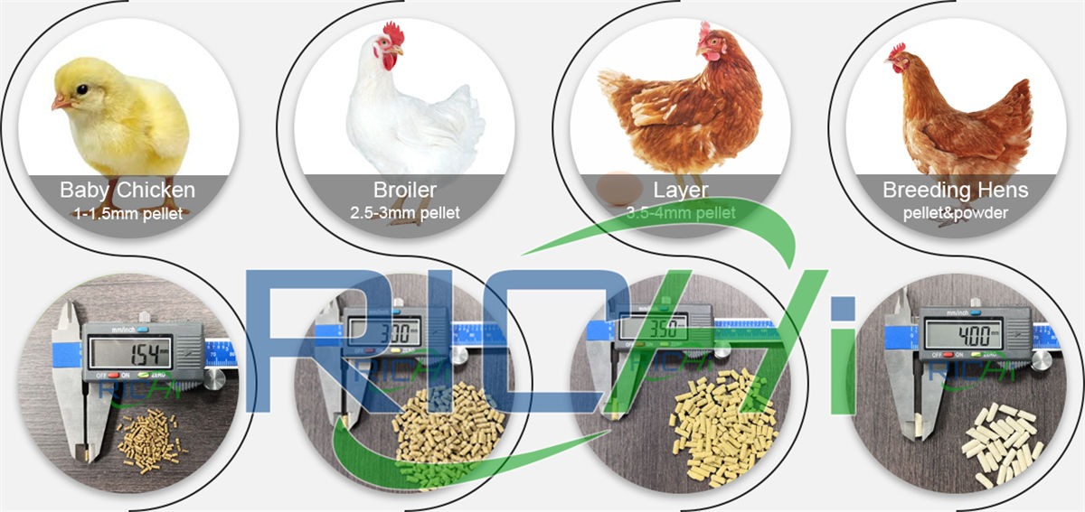 Advantages of Top Quality Feed Making Maker For Chicken
