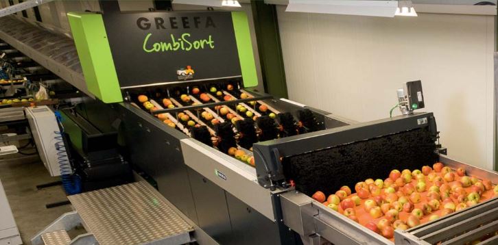 Greefa - Fruits and Vegetables Grading – Packaging - Grading ...