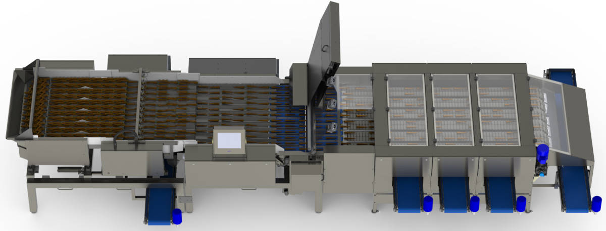 Newtec Celox C-UHD Optical Sorting Machine