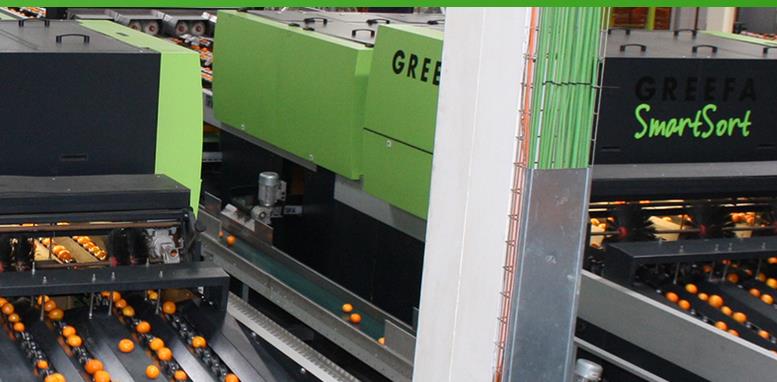 Smartsort Fruit Grading Machine