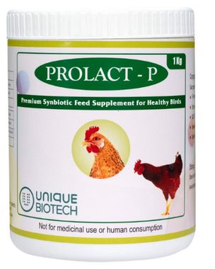 Prolact - P - Probiotic for Animal Feed and Nutrition