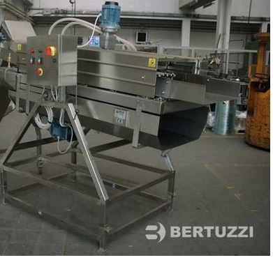 Bertuzzi - Bertuzzi - Berries Processing - Berries Washing ...