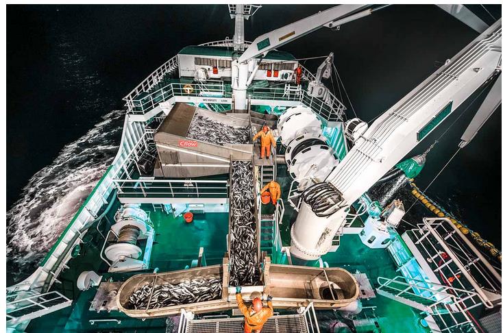 Cflow - Wild Catch System by Cflow Fish Handling AS