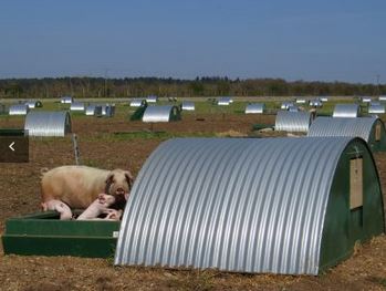 John-Harvey - Farrowing Huts - Insulated Roof Farrowing Hut ...