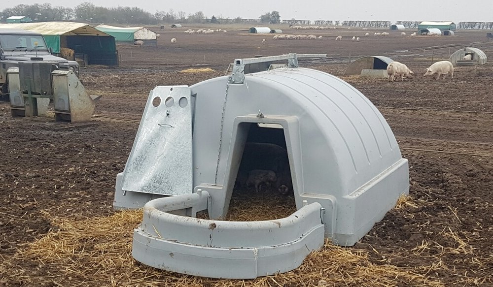 Con-Tented Armadillo Farrowing Ark Hut