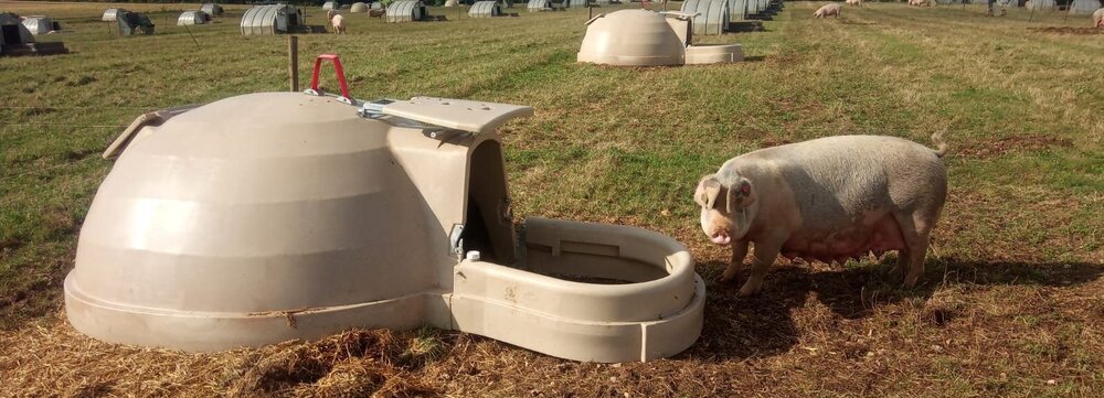 Con-Tented XL Aardvark Farrowing Ark Hut