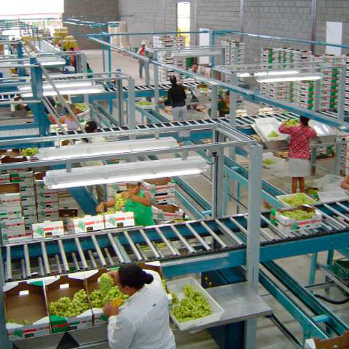 IngenierÃ­a - Products - Grapes Processing Lines Machine by ...