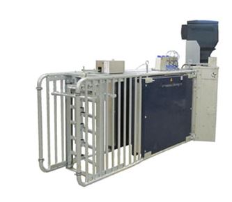 Nedap Velos Pig Automatic Management System