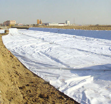From Coastal Protection To Agricultural Irrigation: The Versatile ...