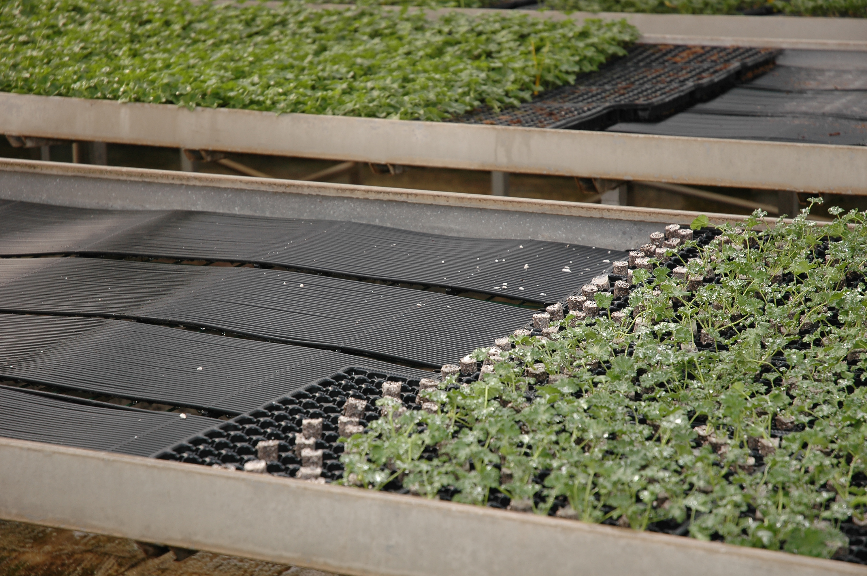 AGRIMAT - Magen's root zone heating system for greenhouses