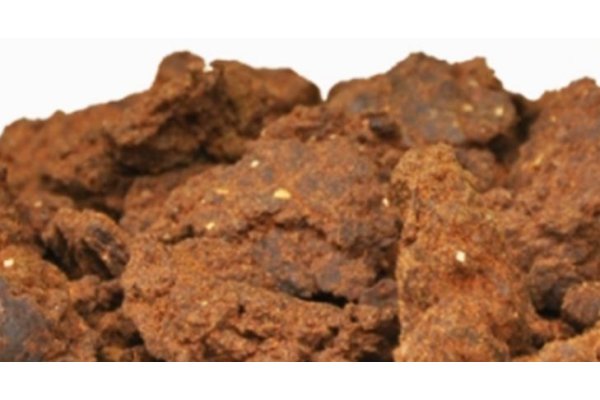 Neem Kernel Cake By Shree Nainar Oil Mills Pvt. Ltd