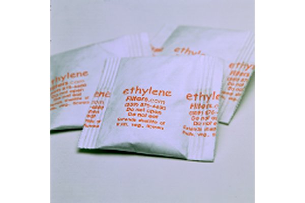 CJS Ethylene Filters - Sachets - 5 Gram Sachet (500 Pc.) By CJS ...