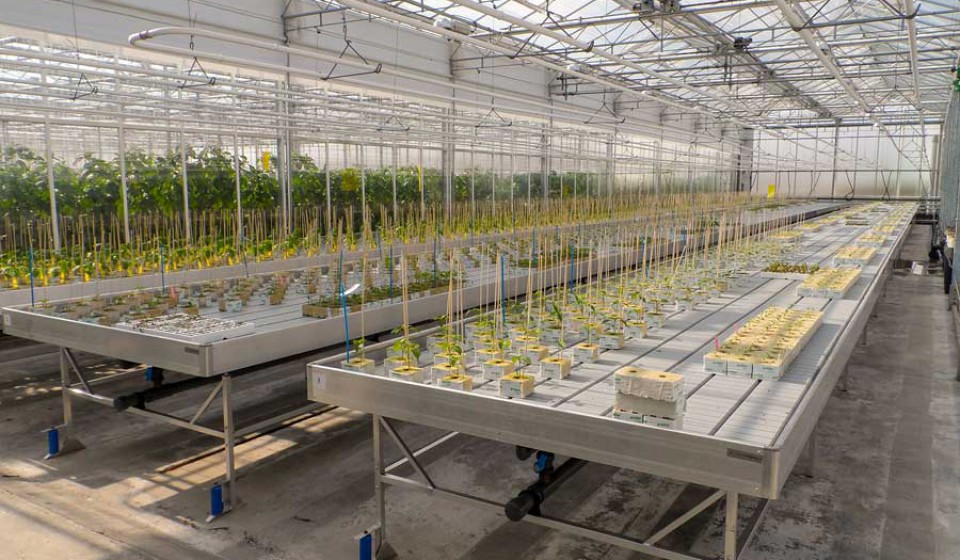 Cultivation Tables By Metazet Formflex B.V.