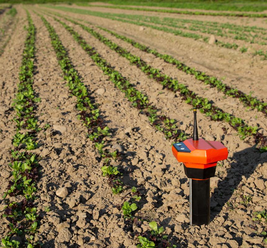 Teralytic - Soil Probe - Single Soil Probe by Teralytic