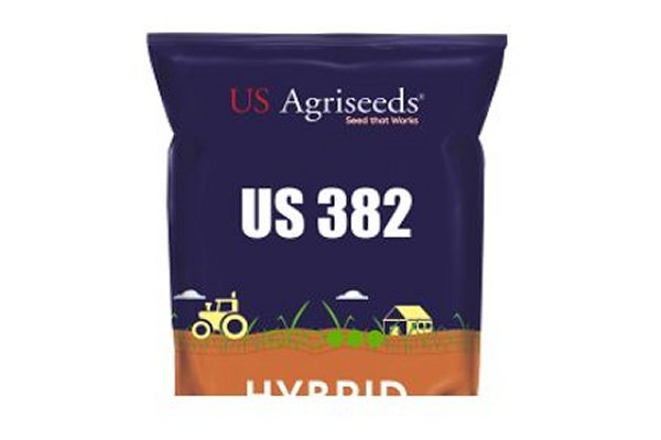 US Agriseeds - US 382 - Field Crops - Hybrid Rice - Hybrid ...