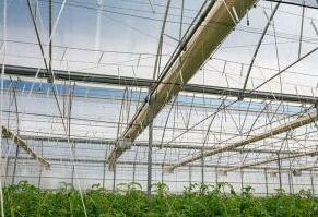 Sera - Other Products - Plant Hanging System by Sera Marketim