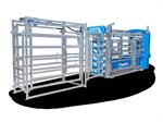 Te Pari Taurus Auto Drafting Cattle Chute