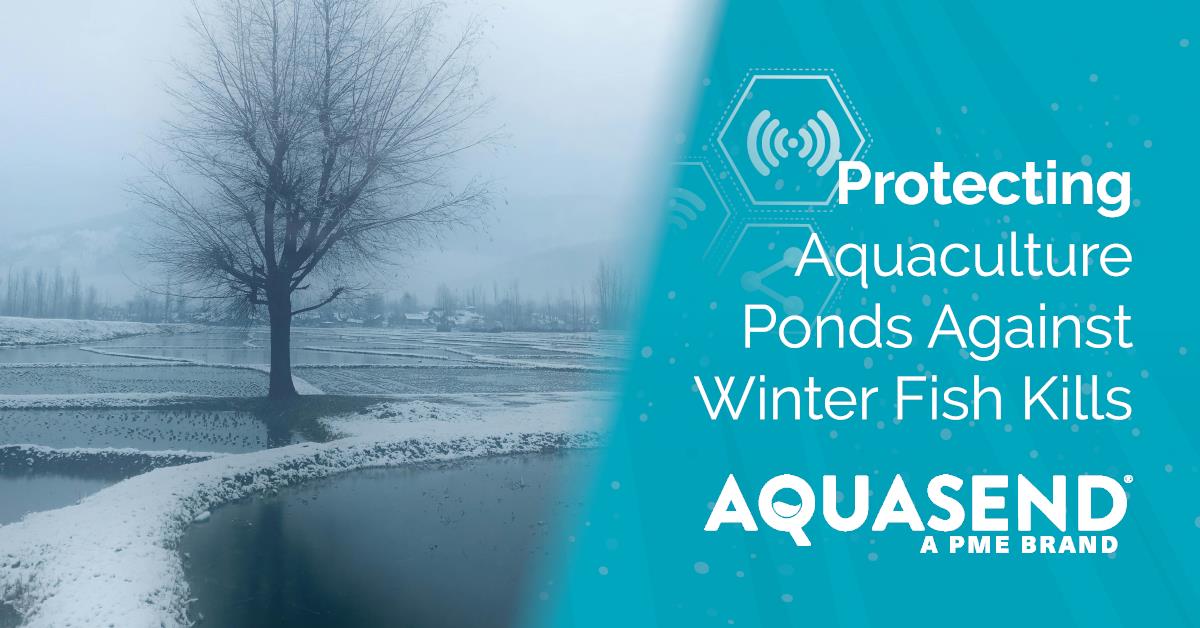 Protecting Aquaculture Ponds Against Winter Fish Kills