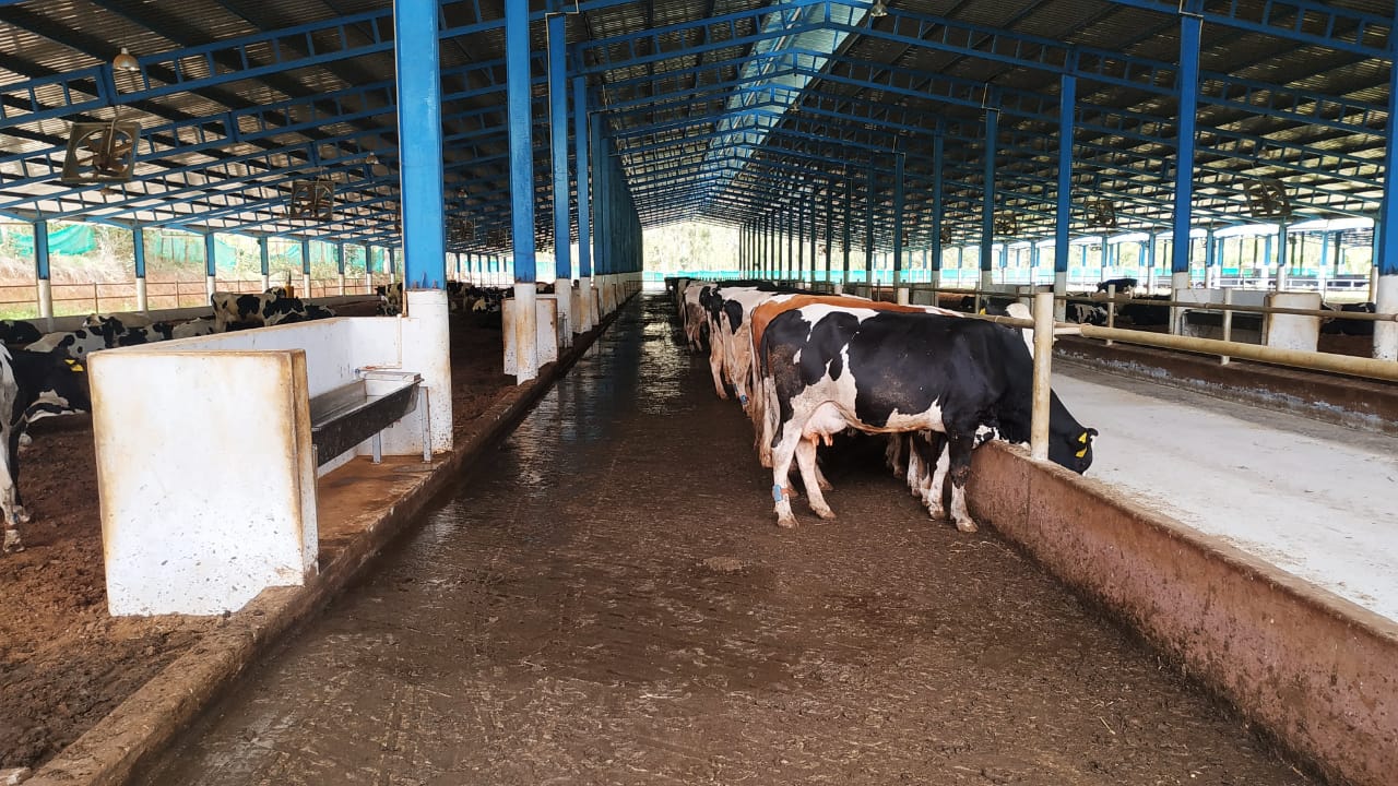 Barn Equipments - Cow Water Troughs By Vansun Technologies ...