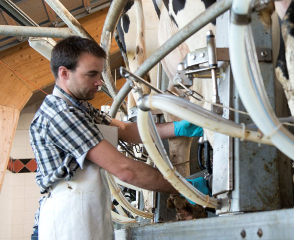 Censortec Nedap - Milk Yield Recording System by Censortec