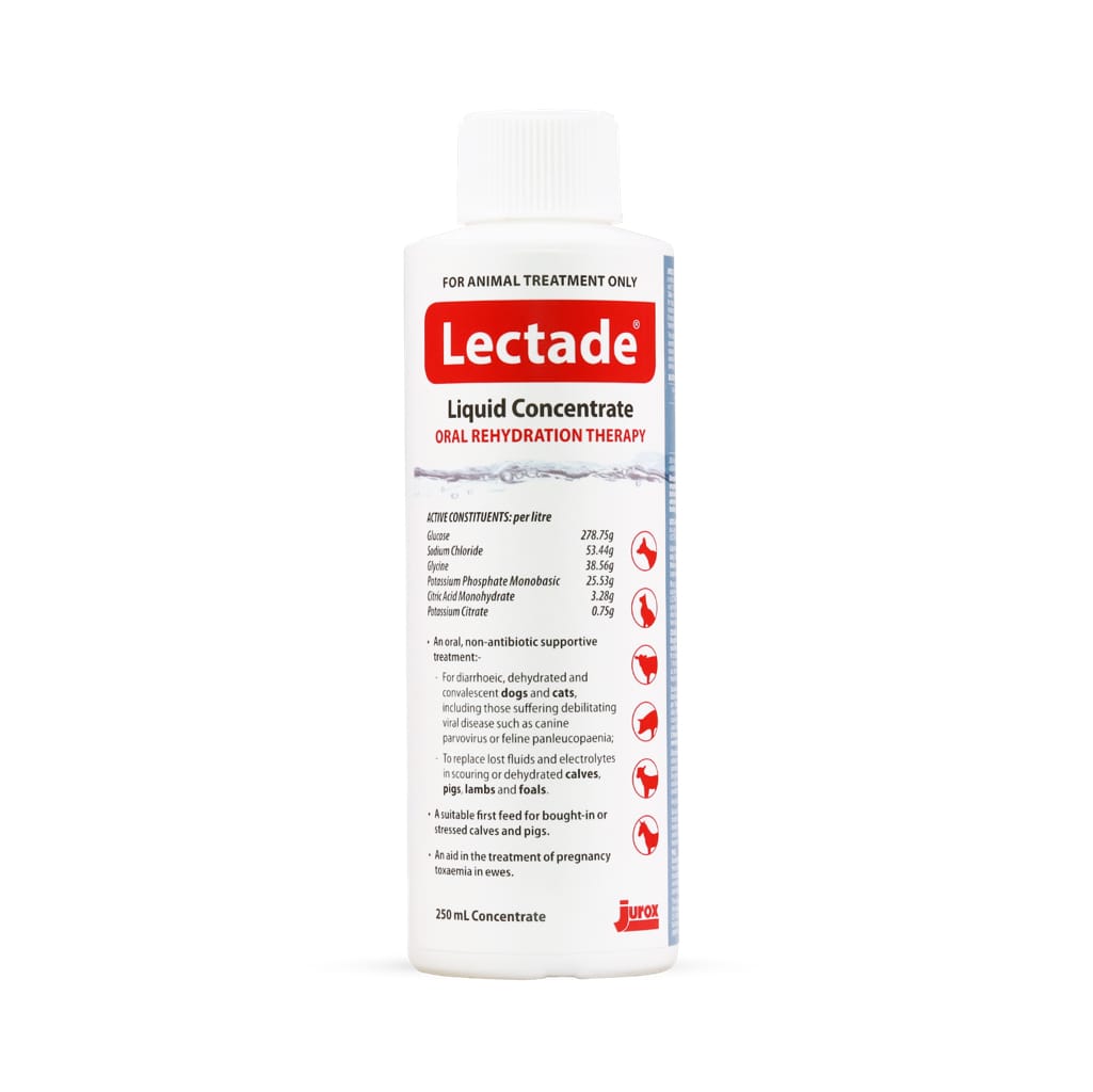 Lectade - Dog Range - Nutrition and Supplements - Oral ...