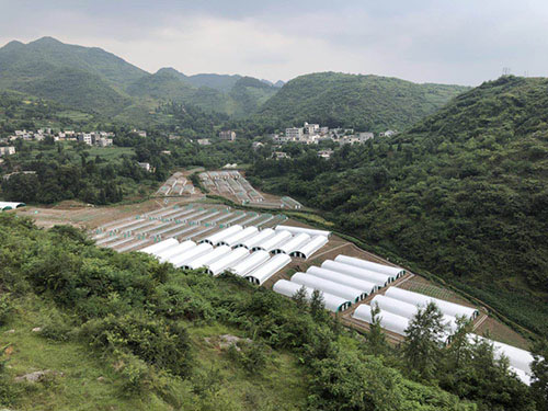 Luguan Plastic - Agricultural Films - Black & White ...