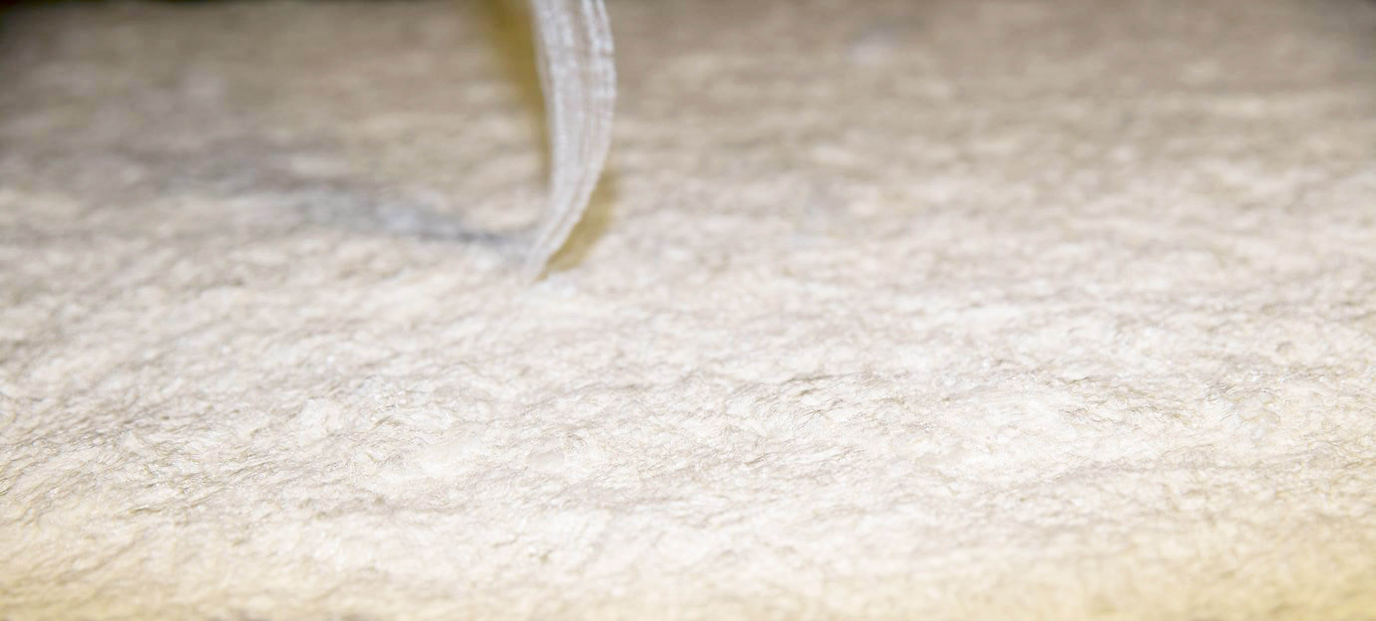 Cellulose Acetate Tow by Celanese Corporation