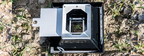 Walz - PAM - Photosynthesis Instruments - Mobile Version ...