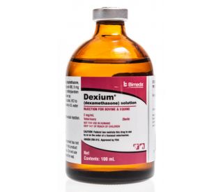 Santa Cruz Animal Health - Dexamethasone Injectable by Santa ...