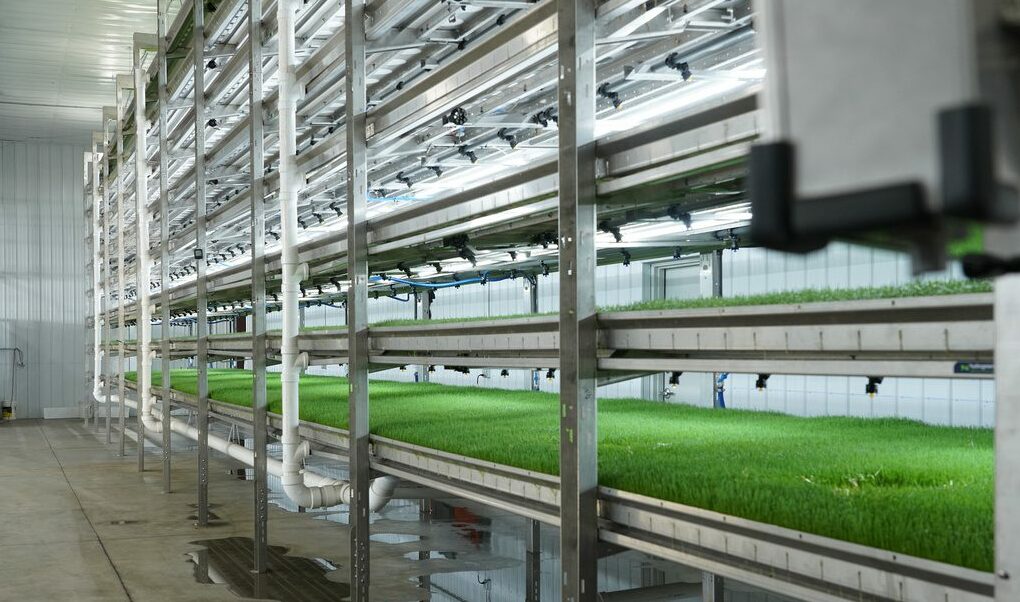 Hydrogreen GLS 808 Automated Vertical Pasture