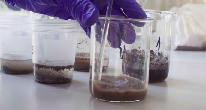 Soil & Plant Tissue Testing Service By E4 Crop Intelligence