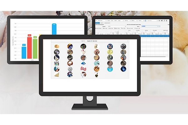 VetSoft - Poultry Management Software by VetSoft