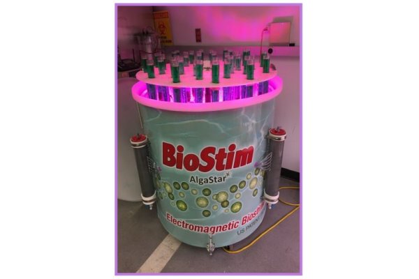 Algastar Biostim Electromagnetic Biostimulation System