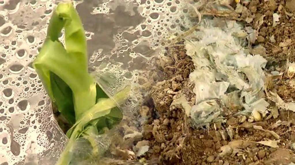 TDPA For Mulch Films