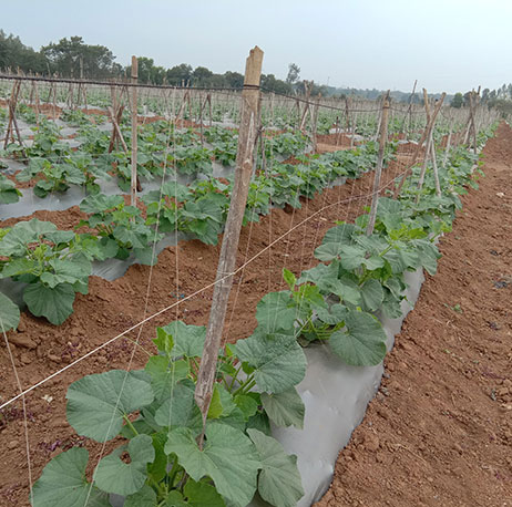 Parth - Products - Agriculture Plastic Wire by Parth Poly ...