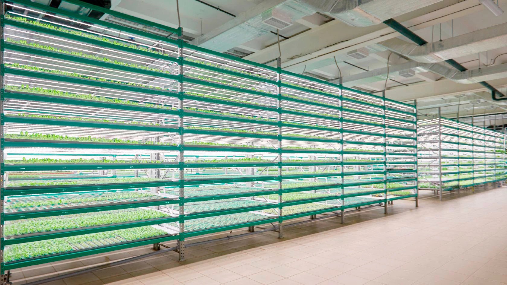 Ifarm - Vertical Farming Technology For Leafy Greens By Ifarm