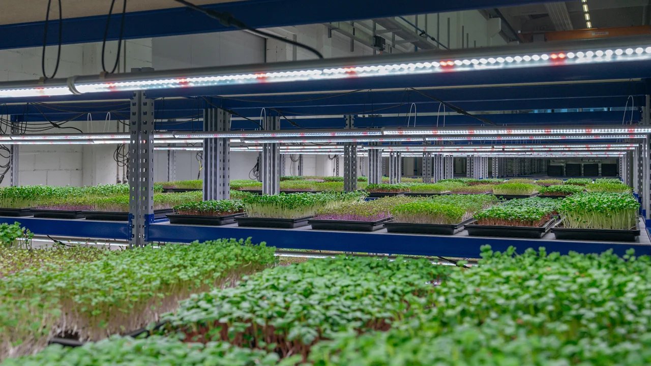 Indoor Farming Equipment (Retail) by Greenstate Ag