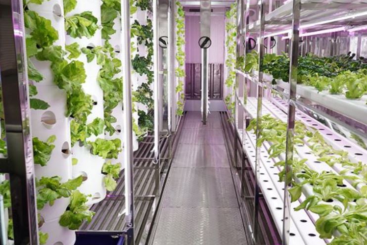 Hydroponic Shipping Container Farm