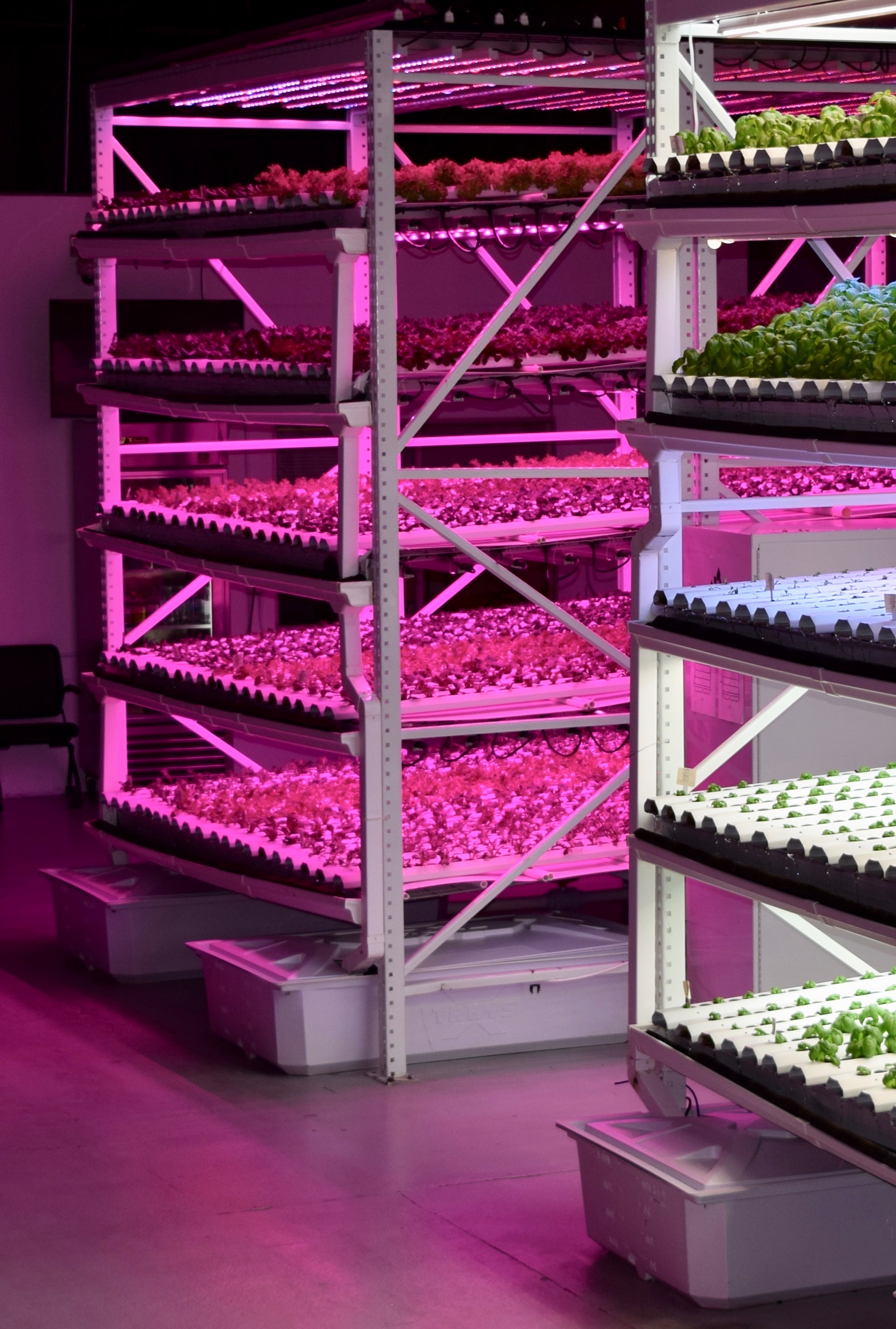 Cityblooms Modular Farming Systems