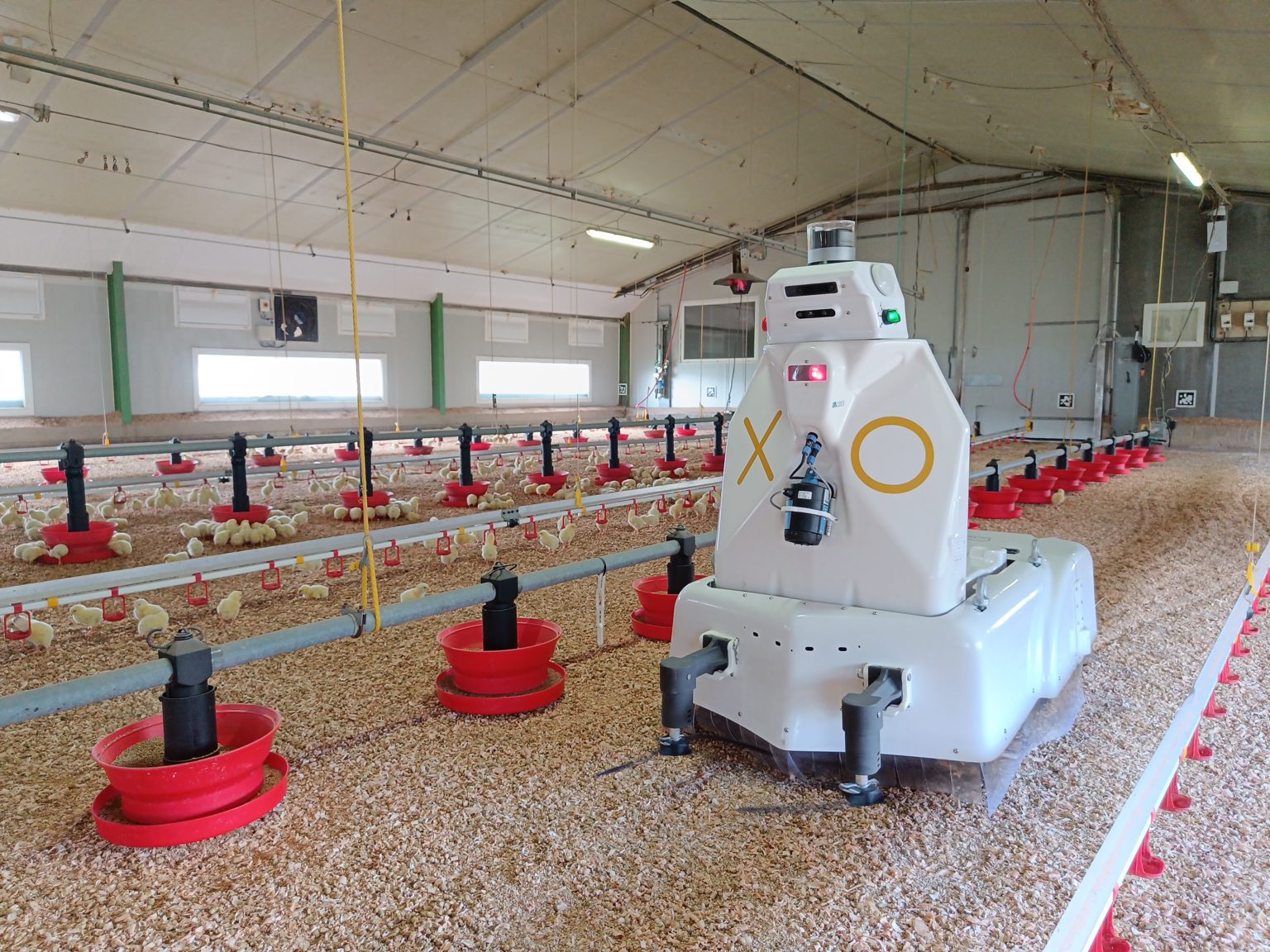 XO Productivity Through Animal Welfare