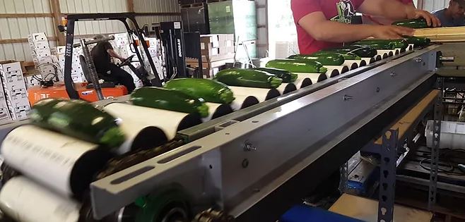 Insight Sorters - Sorting Machines for Cucumber & Squash by ...