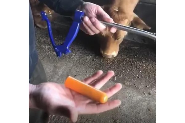 Cattlescan Bolus Monitoring System