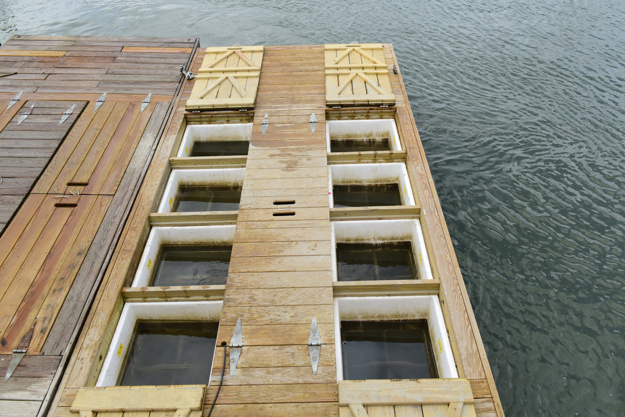 Hoopers Island - FLUPSY - Hatchery & Nursery - Floating ...