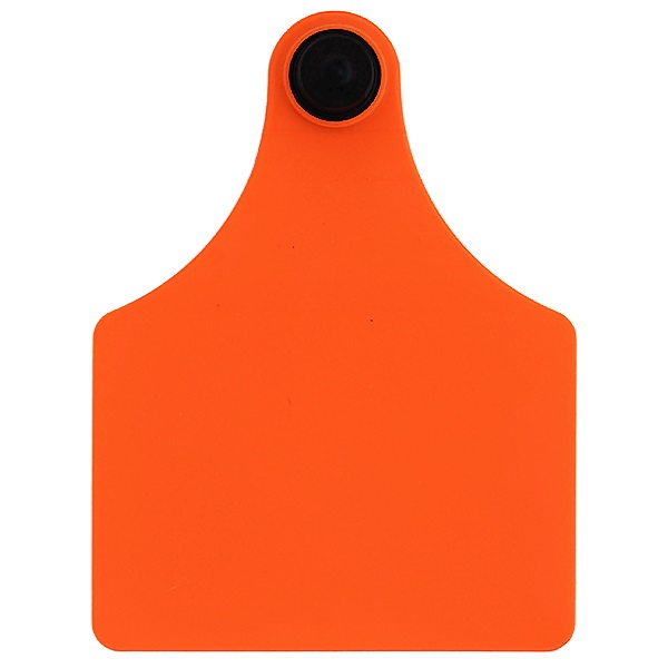 Allflex - F4 - Visual Tags - Cattle Tags - Maxi Female Cattle ...