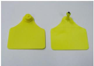 PTS - VID - Cattle Tags - Cattle Visual Tag By PTS ...